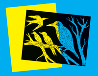 Clear-scratch Film Sheets | Scratch Art | Art Supplies Wholesale